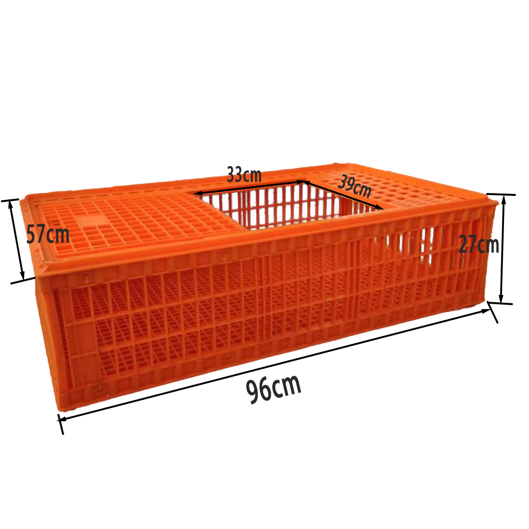 Live Chicken Transport Cage Poultry Turnover Box Plastic Foldable ...