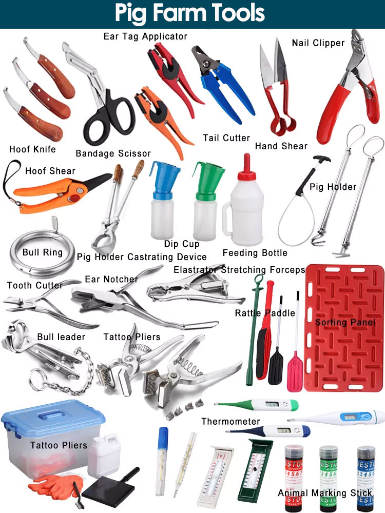 Pigs And Sheep Castration Pliers And 100 Particulate Rubber Ring ...