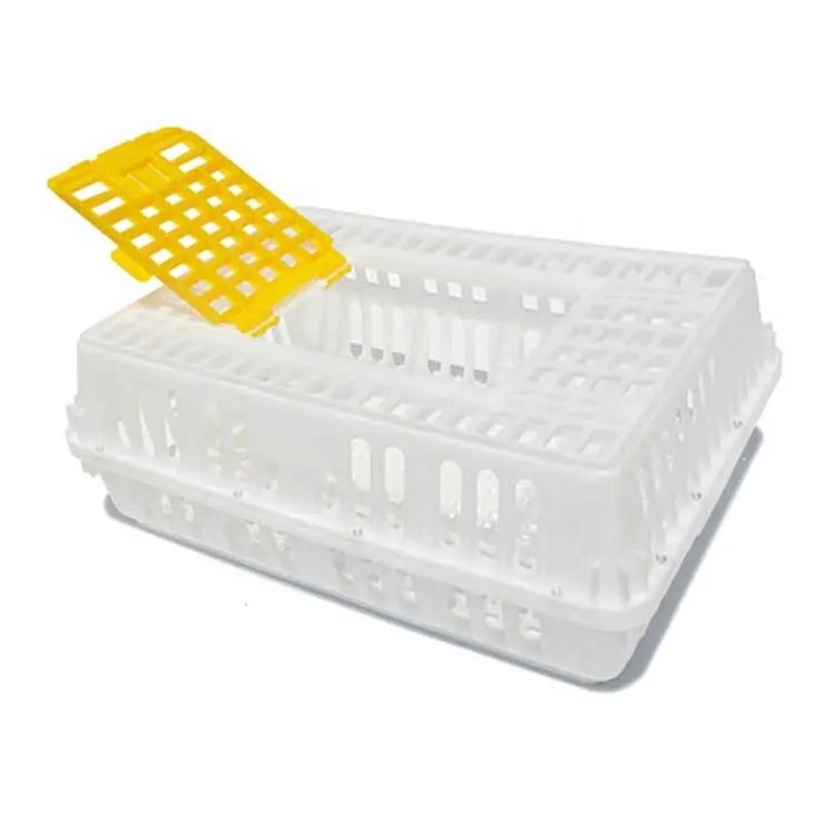 Chicken Transport Cage for Chicken Farms Poultry Equipment for Chicken ...