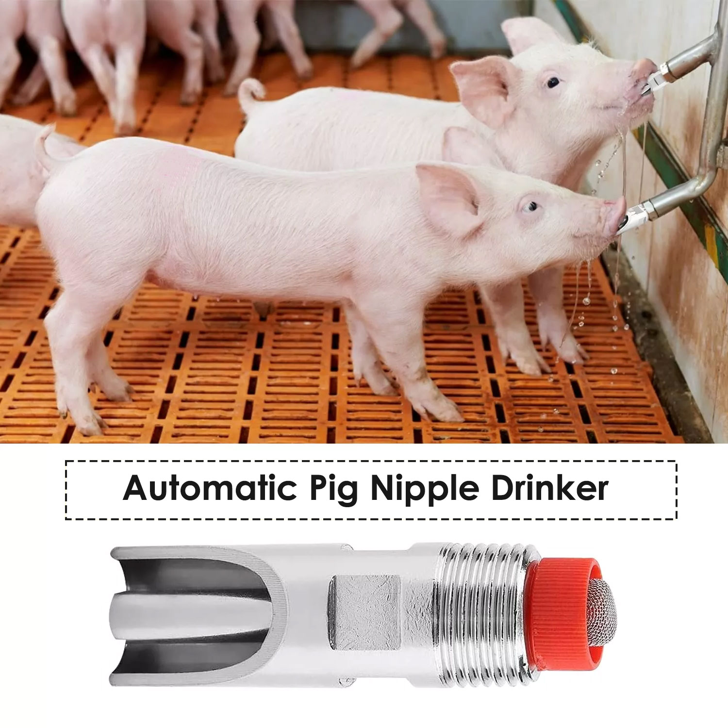 Automatic Duck-billed Type Pig Drinker Water Nipple For Pigs Livestock ... Automatic Duck-billed Type Pig Drinker Water Nipple For Pigs Livestock ...