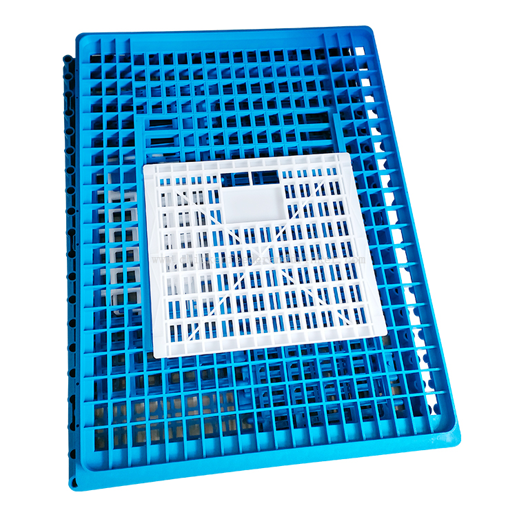 Chicken Transport Cage Poultry Farms Transport Boxes Plastic Broiler ...