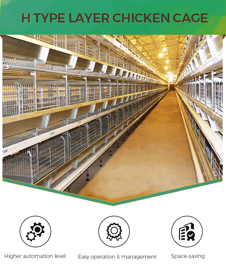 H-type Chicken Layer Cage for Automatic Breeding of Poultry Equipment ...