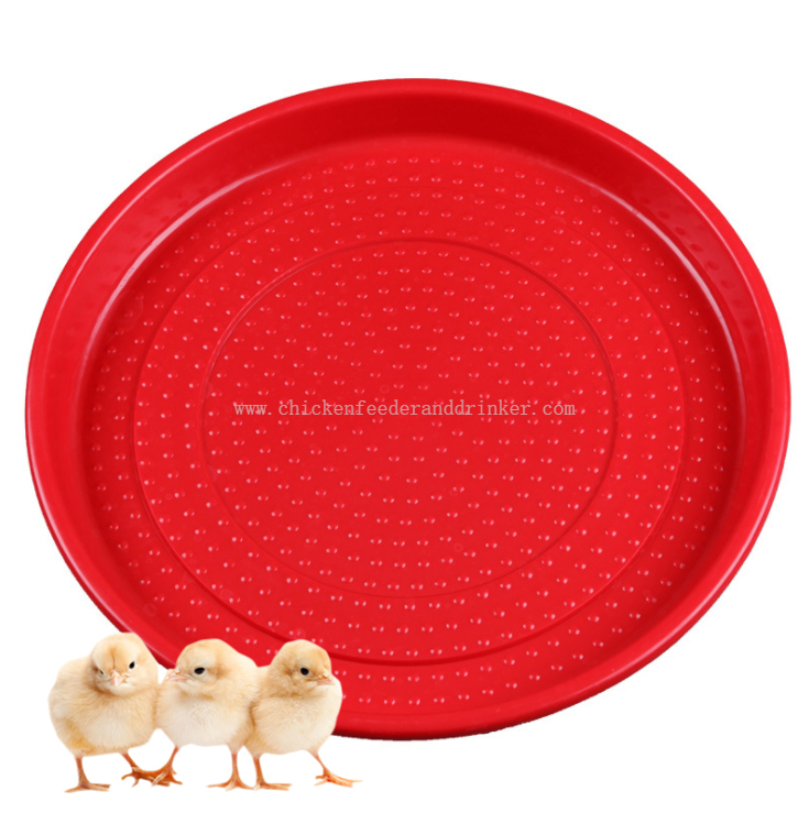 Baby Chicken Feeder Trays Poultry Farm PP Plastic Broiler Feeder Pan ...