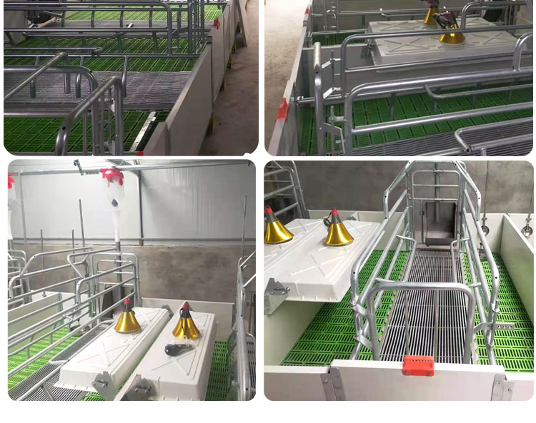 European Sow Farrowing Crates Sow Pen Bed Pig Gestation Crate Pig Cage ...