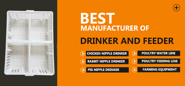 Plastic Chick Transport Cages Chicken Transport Boxes Poultry Transfer ...