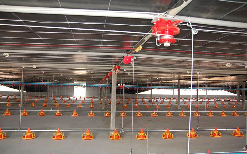 Automatic Poultry Chicken Feeder Pan for Feeding Line Feeder Pan for ...