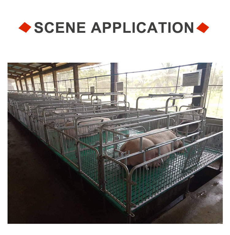 2 units Sow Farrowing Crates or Single Sow Farrowing Pen Bed Pig ...